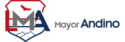 logo liceo mayor andino – Liceo Mayor Andino